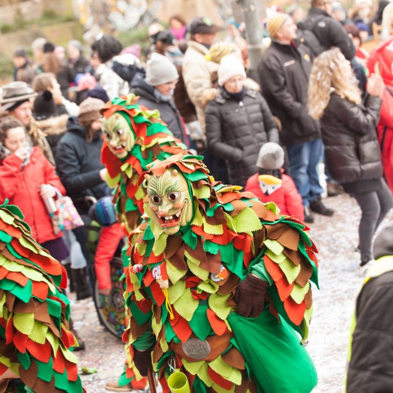 Unsere Zünfte | Breisgauer-Narrenzunft Freiburg e.V.