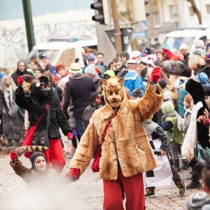 Unsere Zünfte | Breisgauer-Narrenzunft Freiburg e.V.