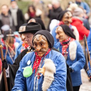 Unsere Zünfte | Breisgauer-Narrenzunft Freiburg e.V.