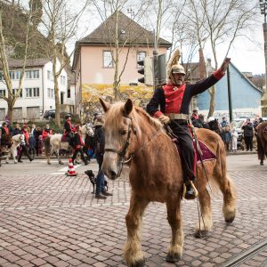 Unsere Zünfte | Breisgauer-Narrenzunft Freiburg e.V.