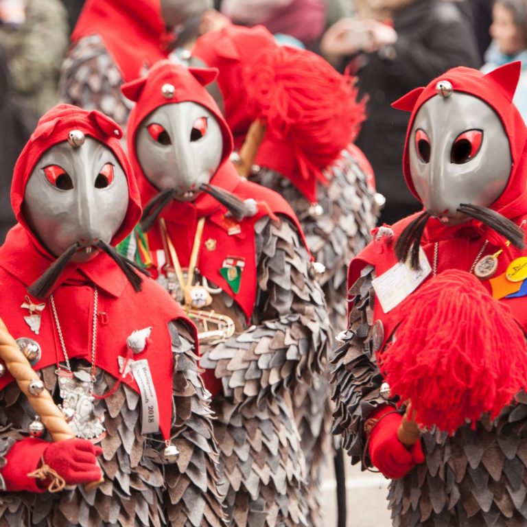 Unsere Zünfte | Breisgauer-Narrenzunft Freiburg e.V.